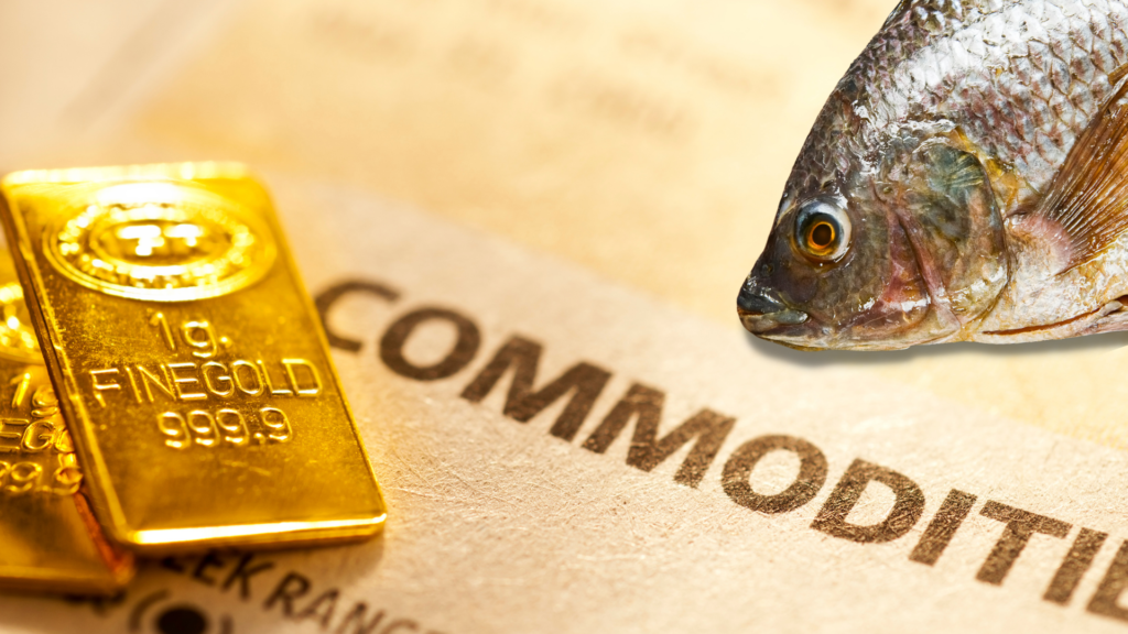 O que são commodities e por que a tilápia é a “nova commodity”? | Blog da Engenharia
