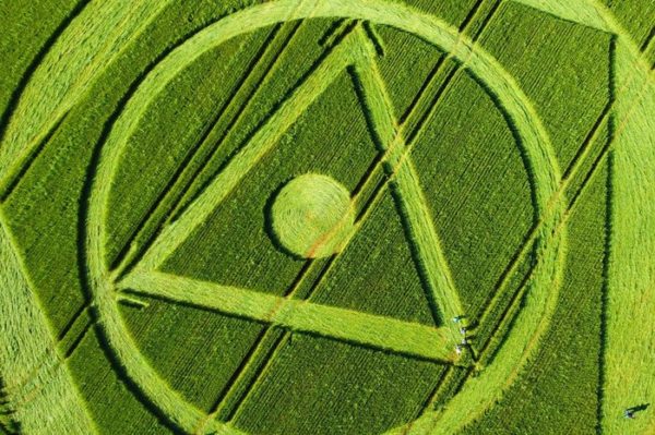 Agroglifos: O que são e quais as possíveis explicações! | BdE